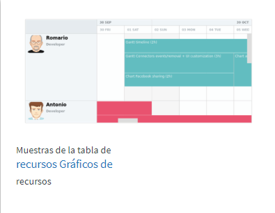 AnyGantt JS Gantt: precios, funciones y opiniones