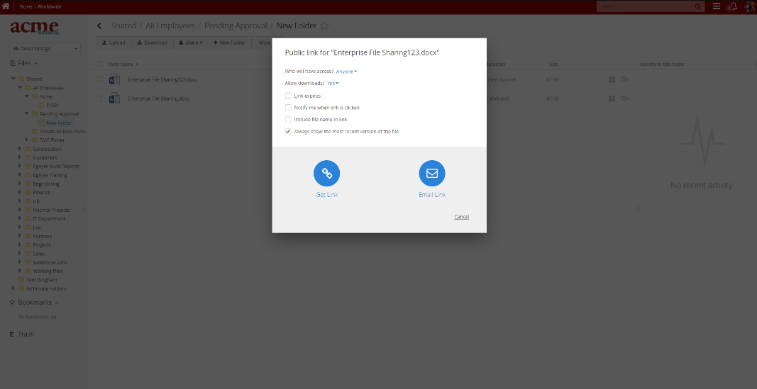 Egnyte: precios, funciones y opiniones