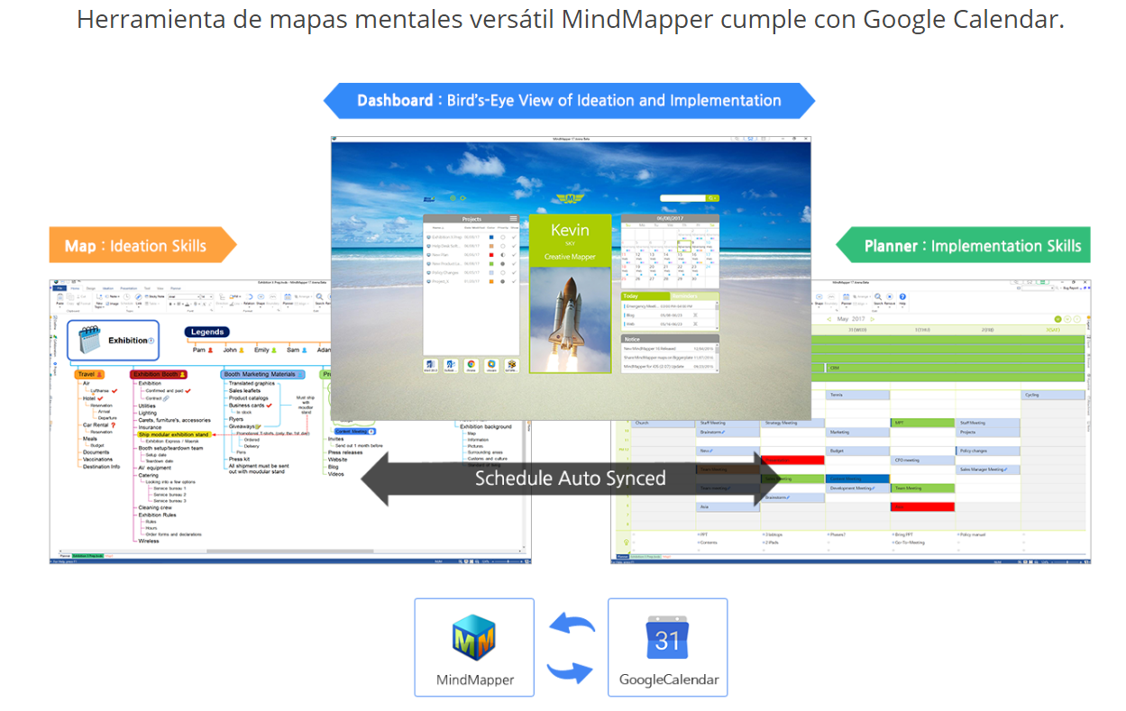 MindMapper Software